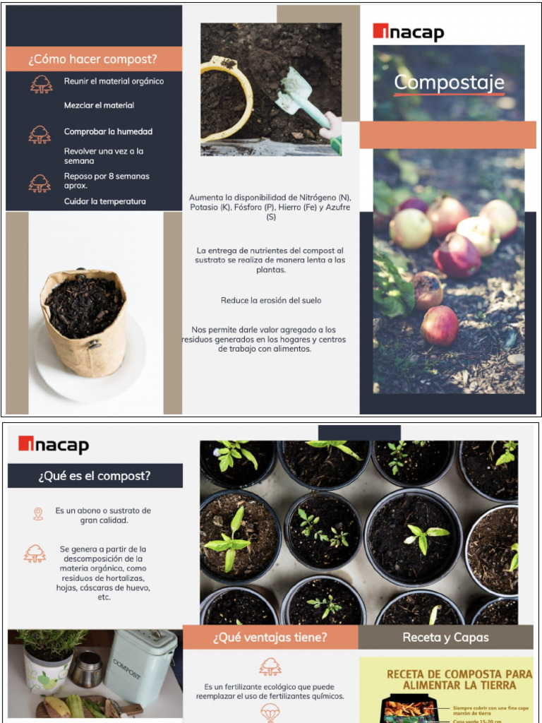 Triptico Compost | PDF