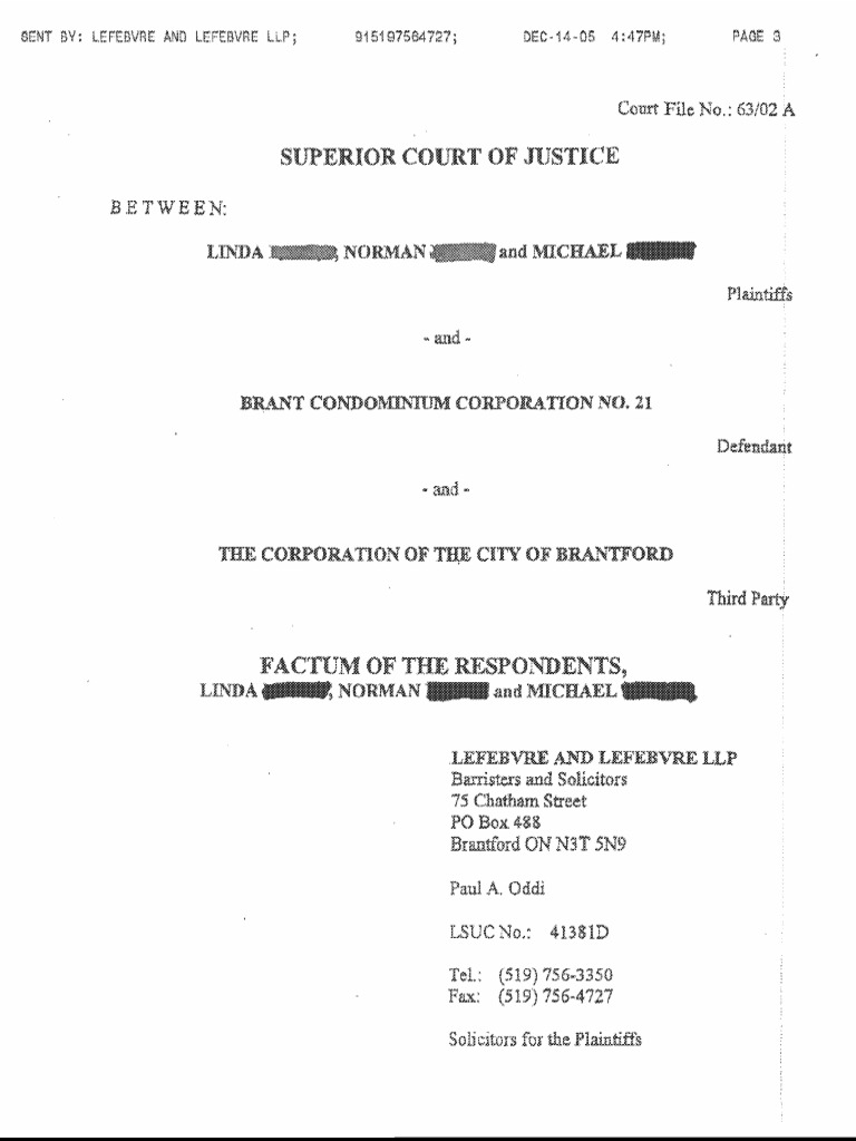 Week 12 - Factum Example Handout | PDF