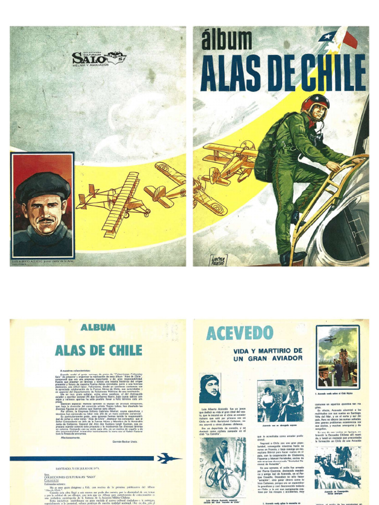 ALAS DE CHILE - Compressed 1 | PDF