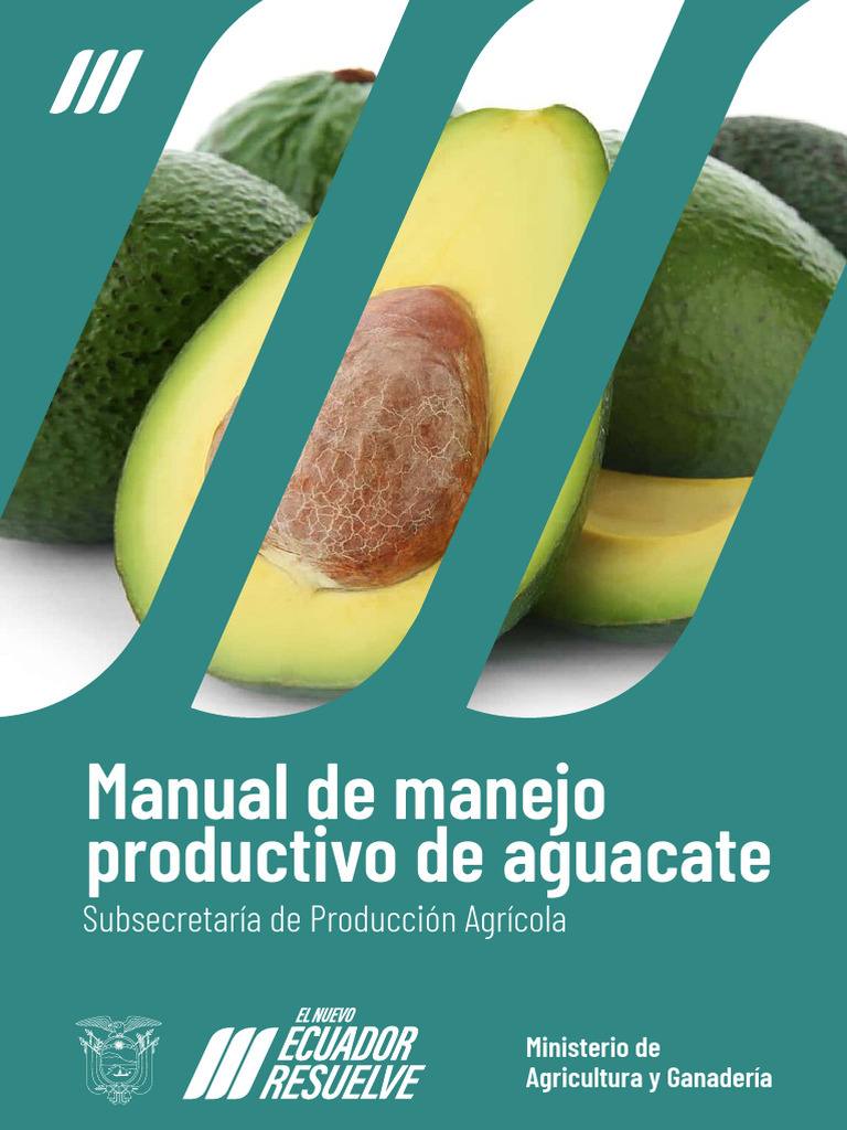 Manual de Aguacate INIAP - MAG | PDF