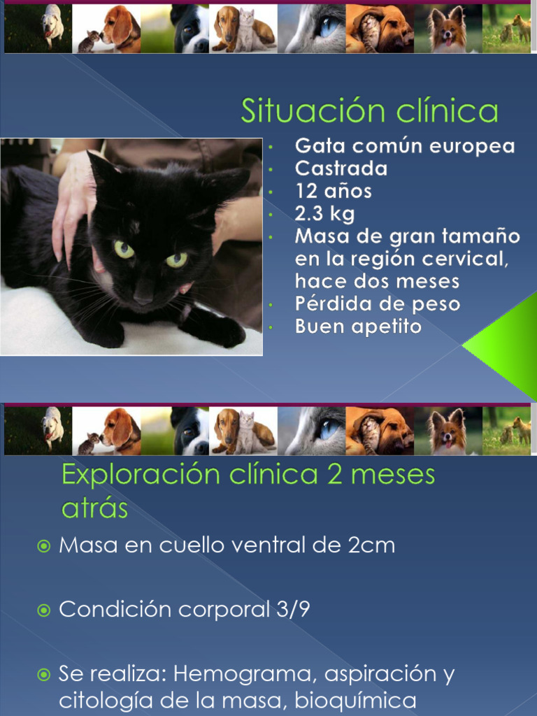Casos Endocrino | PDF