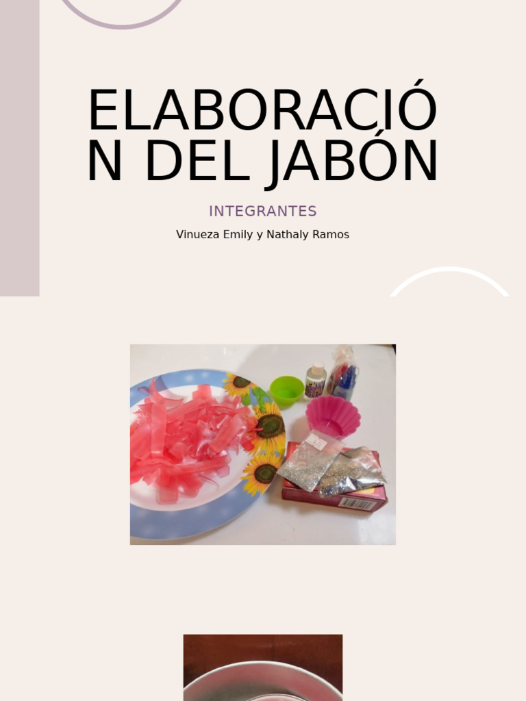 Presentacion Slud | PDF