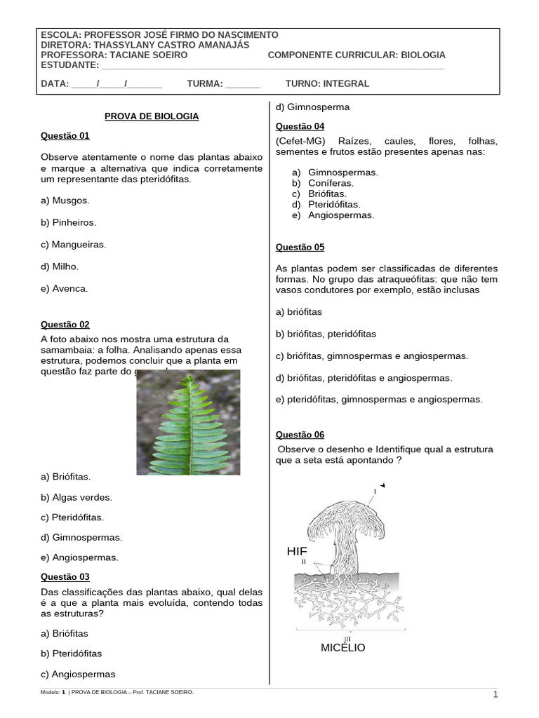 PROVA REAVALIATIVA 3º BIMESTRE BIOLOGIA 2 ANO 2B, 2C E 2a | PDF