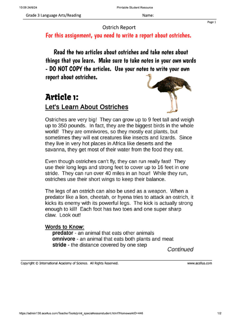 Ostrich Report | PDF