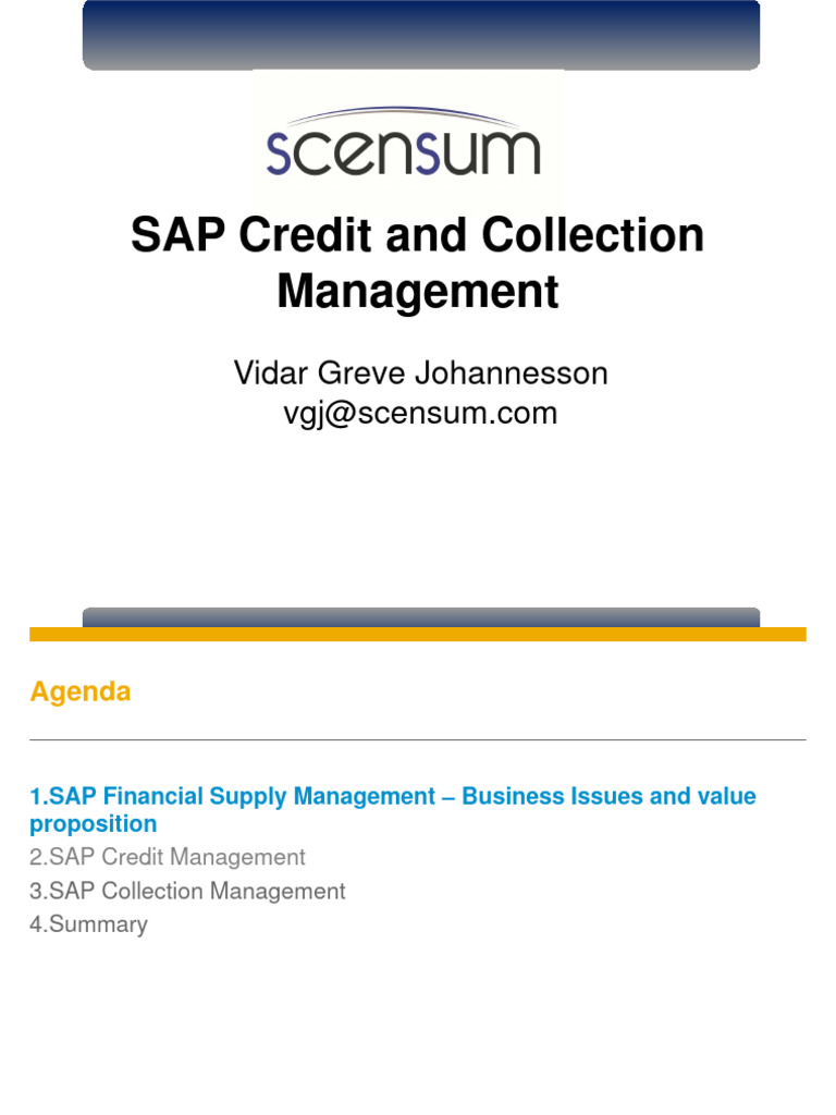 SAP Credit and Collection Management | PDF