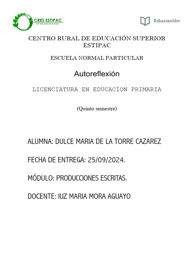 Auto Reflexion | PDF