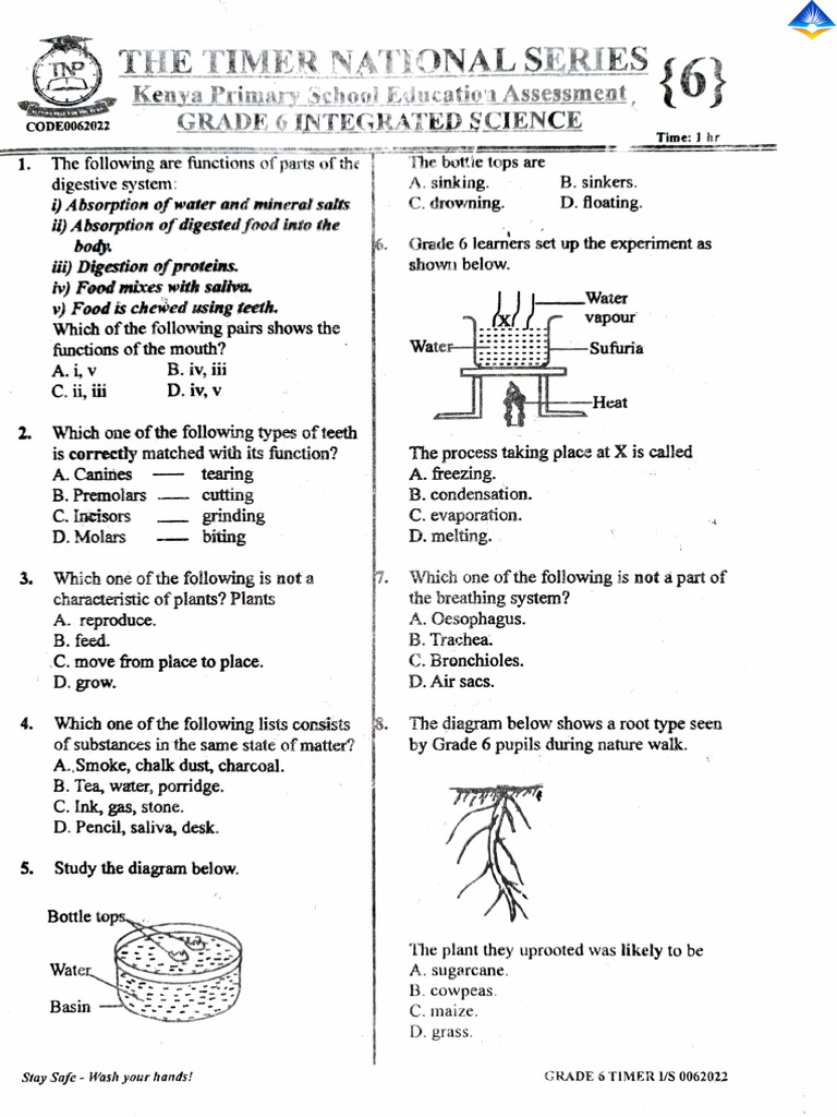 Grade 6 Kpsea New Timer Integrated Science | PDF