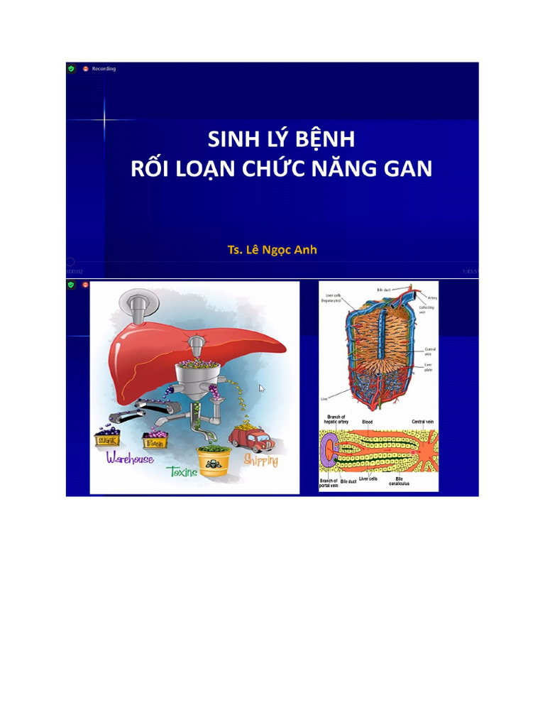 LEC 26. Sinh Ly Benh Roi Loan Chuc Nang Gan - Mat | PDF
