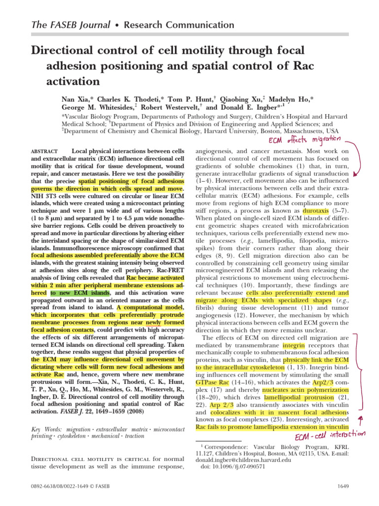 Directional Control of Cell Motility Through Focal Adhesion Positioning ...