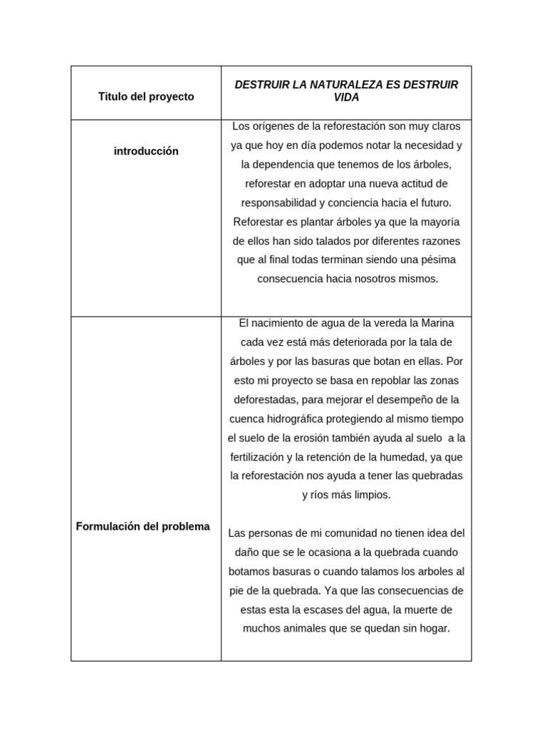 Titulo Del Proyecto 9 | PDF