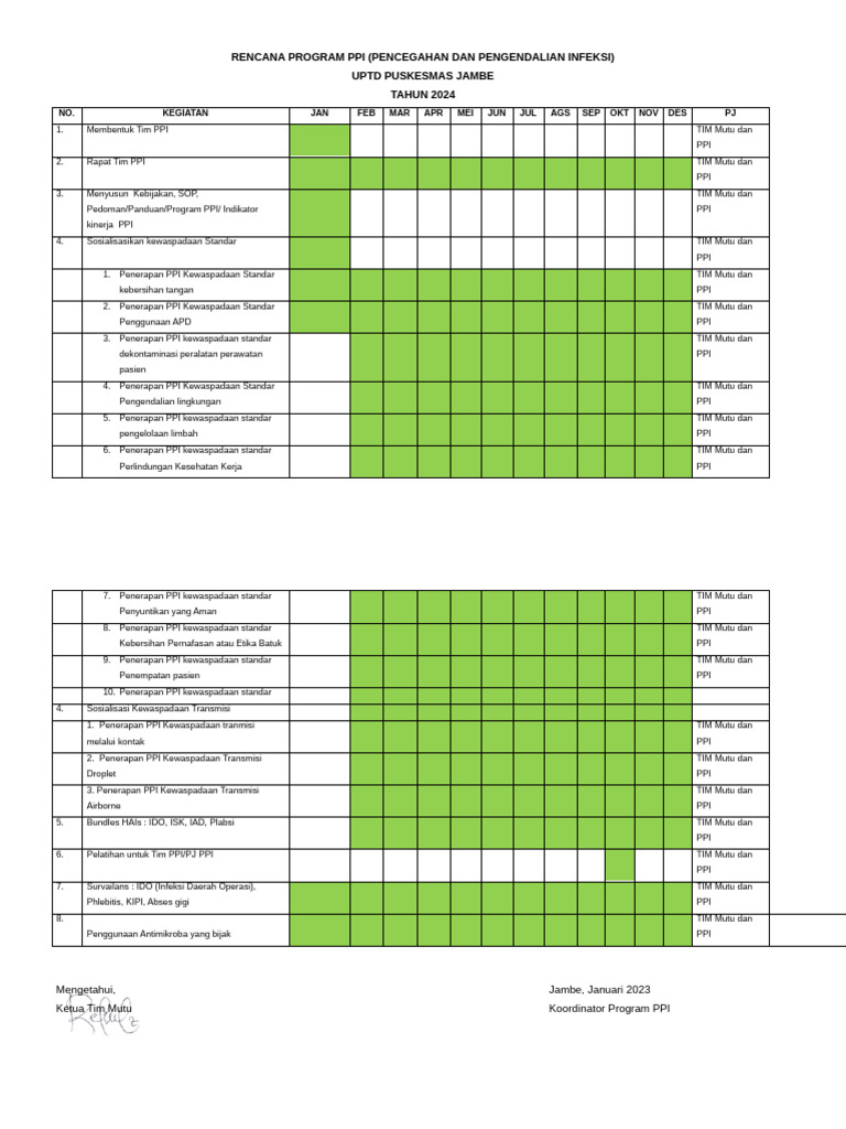 Perencanaan Program Ppi | PDF