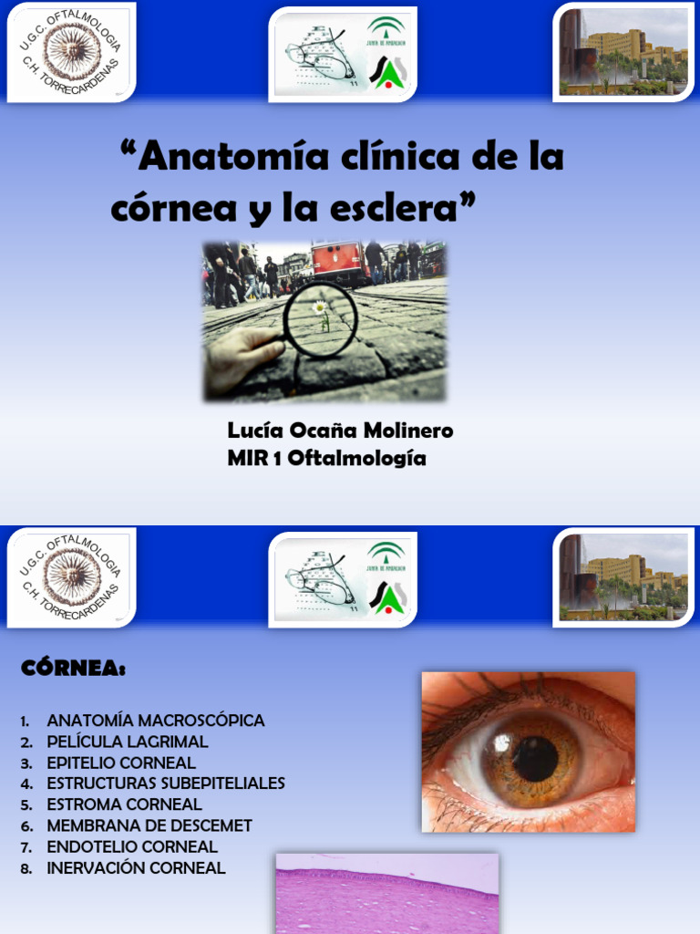 031 Anatomía Clínica de La Cornea y La Esclera - LOM | PDF