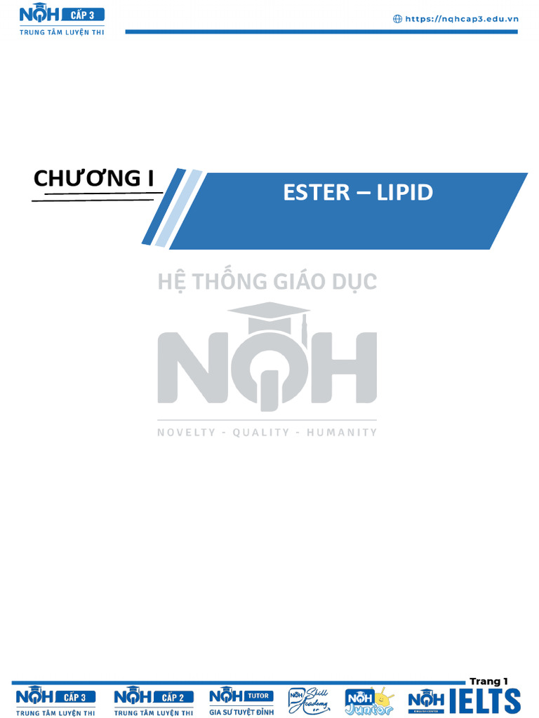 LÝ THUYẾT CUT ESTER | PDF