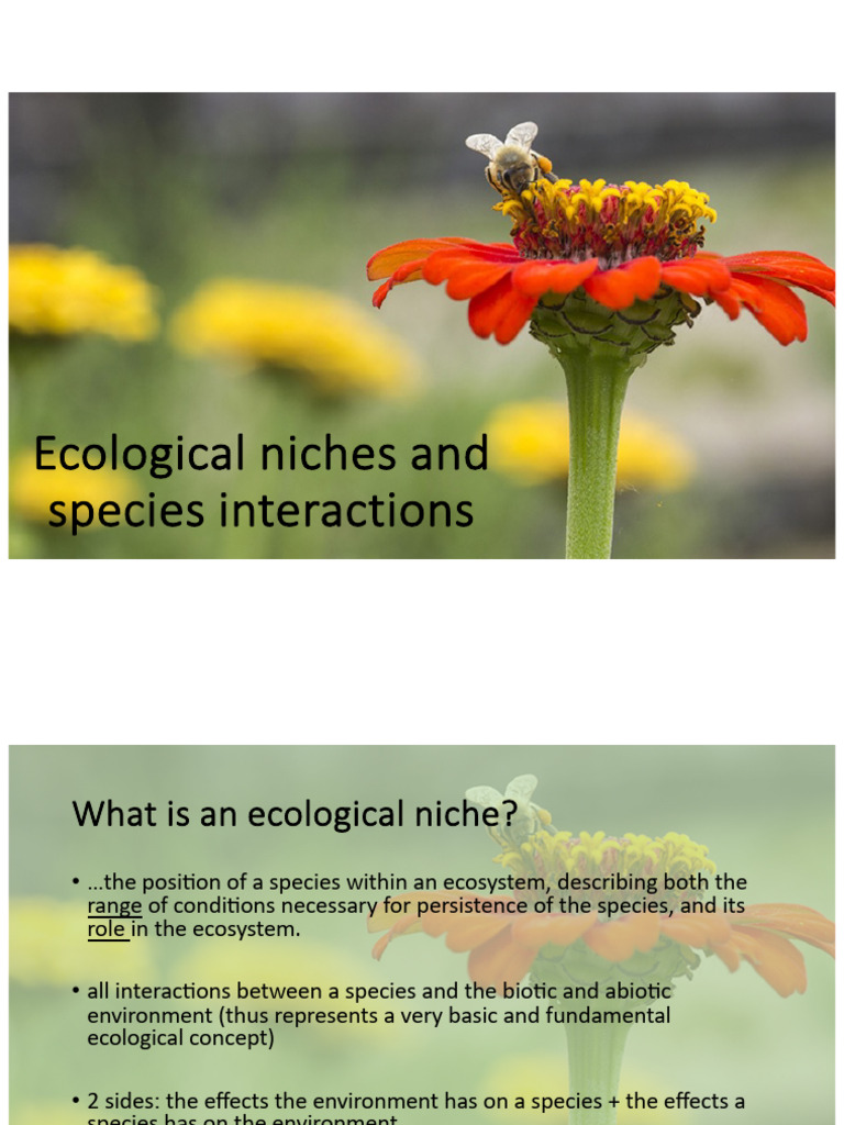 Ecological Niches and Species Interactions | PDF | Ficus | Flowers