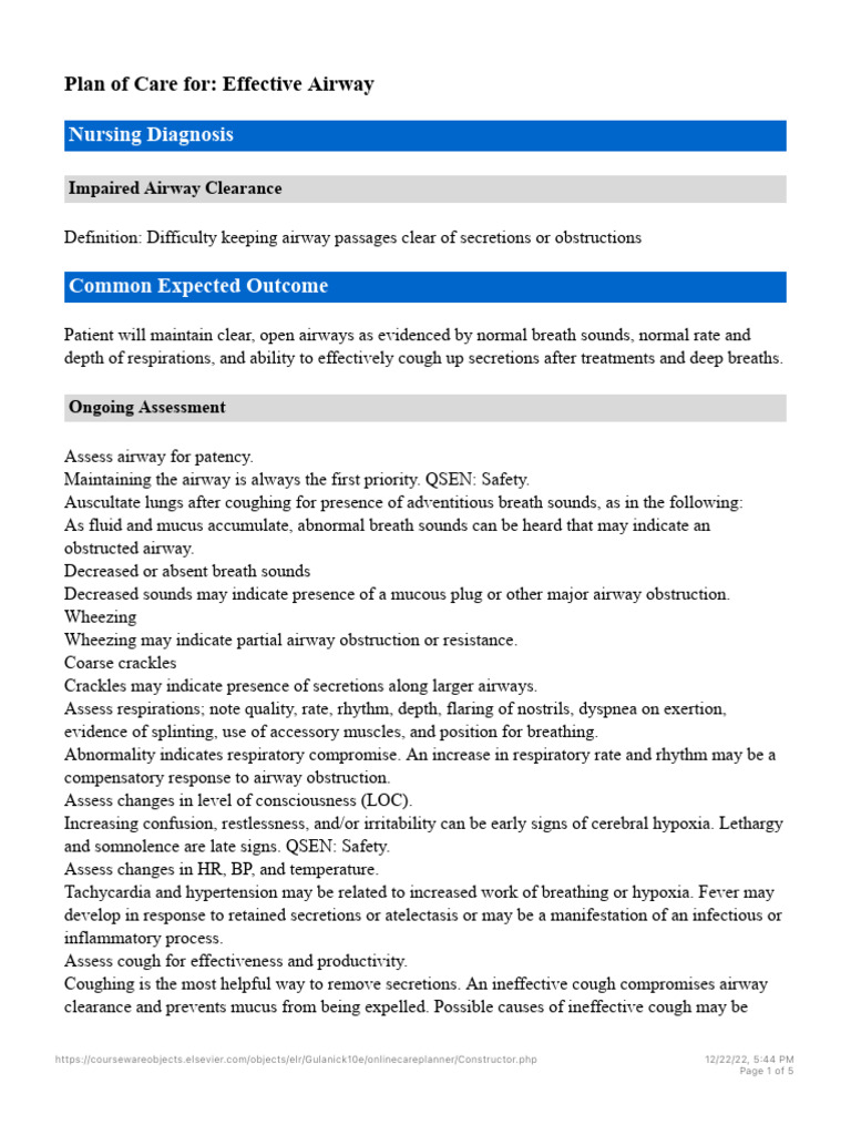 Effective Airway Care Plan | PDF | Respiratory Tract | Breathing