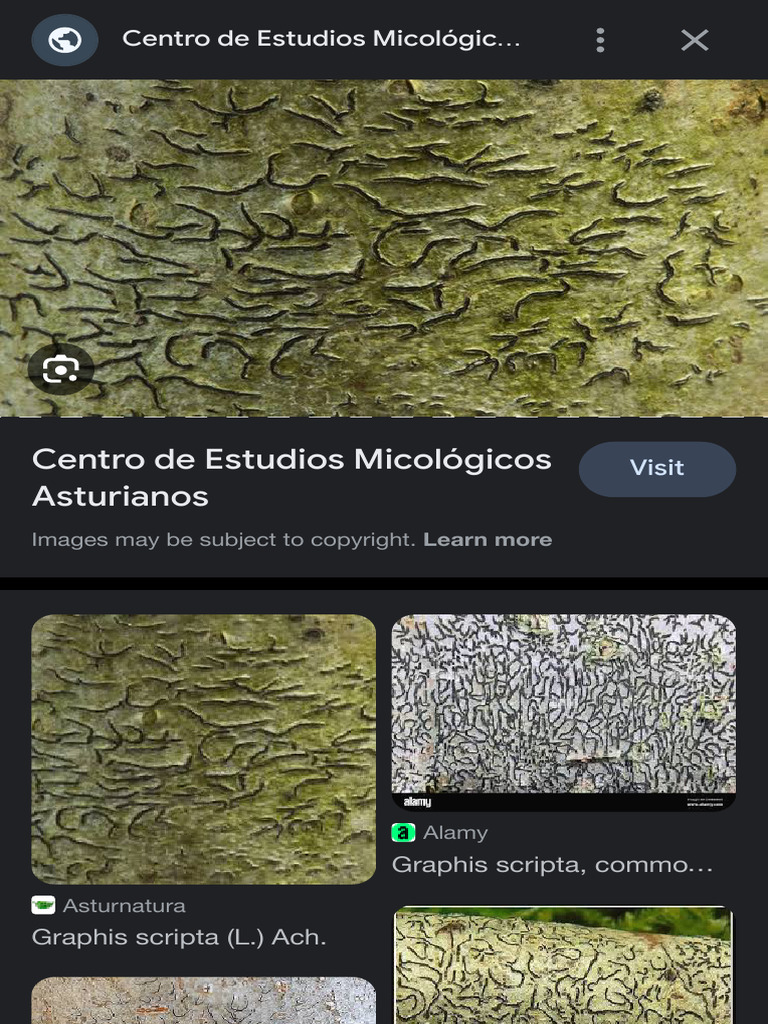 Graphis Scripta - Google Search | PDF