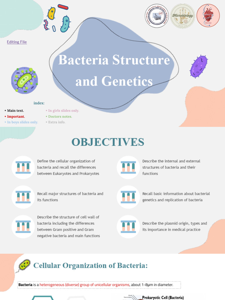 L1. Bacteria Structure and Genetics | PDF