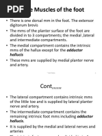 MTP and IP Joint Overview in Foot | PDF | Foot | Toe
