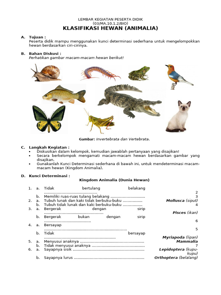 LKPD 10.1.2.3 - Klasifikasi Hewan (Animalia) | PDF