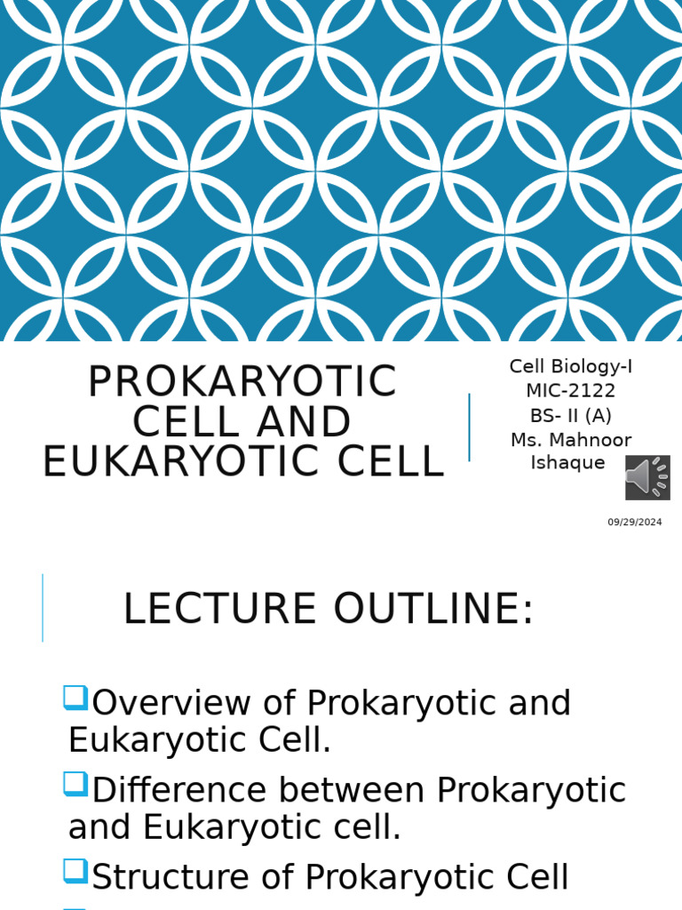 Lecture 02 (A) Prokaryotic and Eukaryotic Cells | PDF | Cell (Biology ...