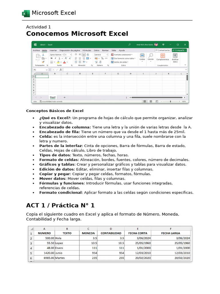 2024-Excel Actividad 01 | PDF