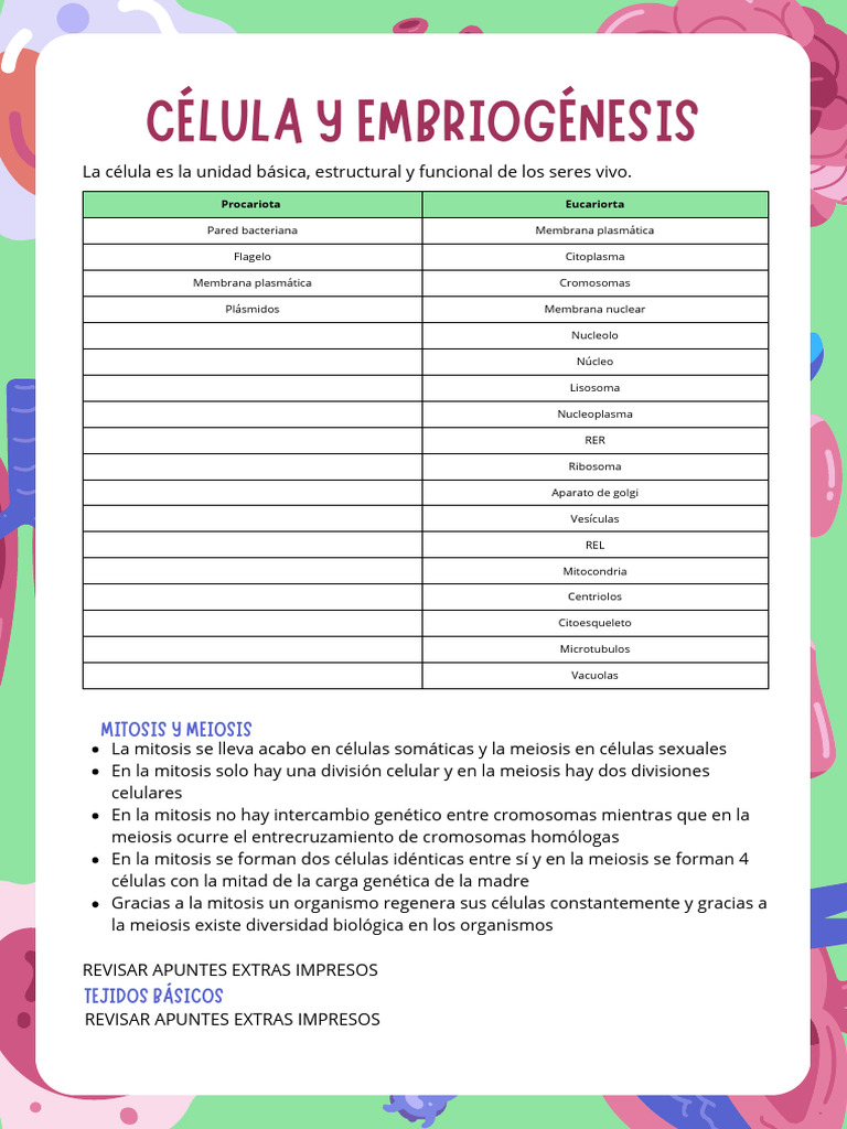Anatomía Célula y Embriogénesis | PDF