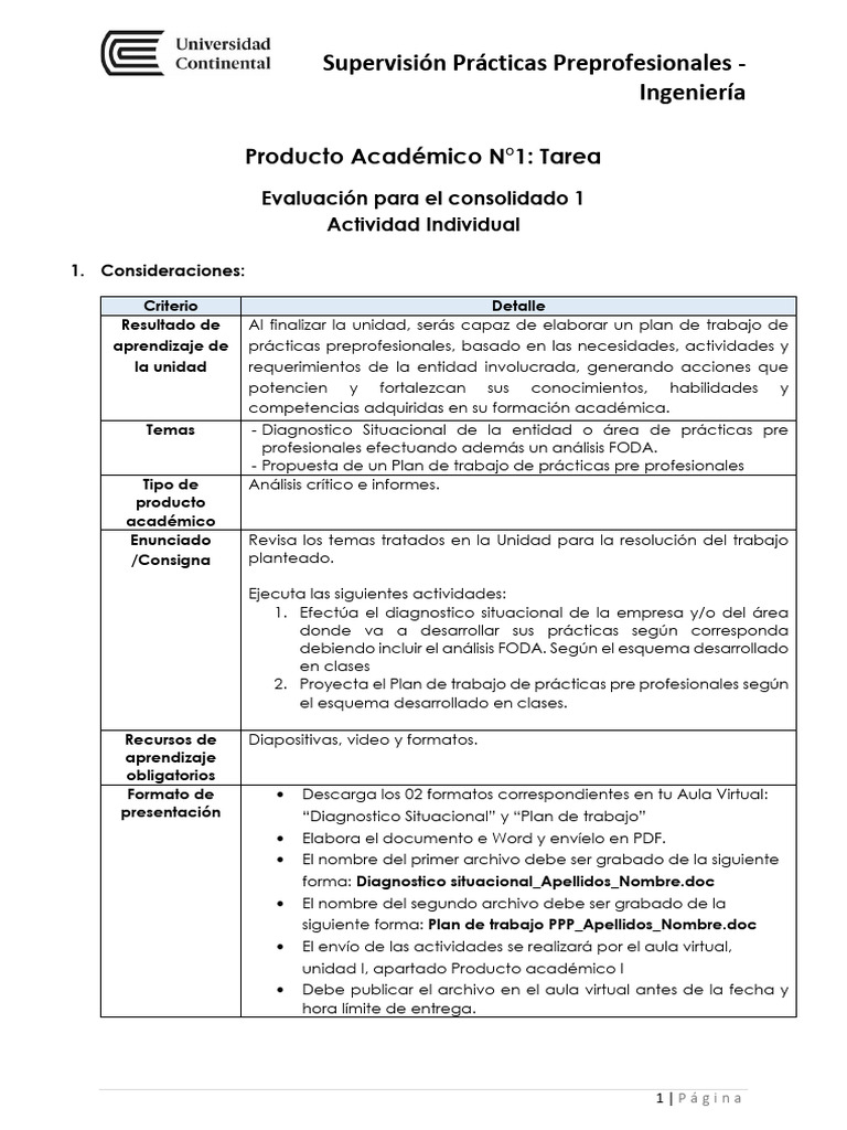 Plan de Trabajo PPP - Robles - Kristoff | PDF