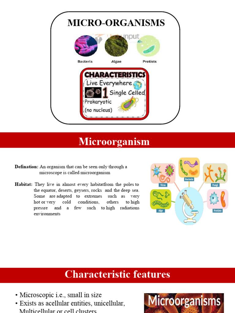 Micro Organisms | PDF