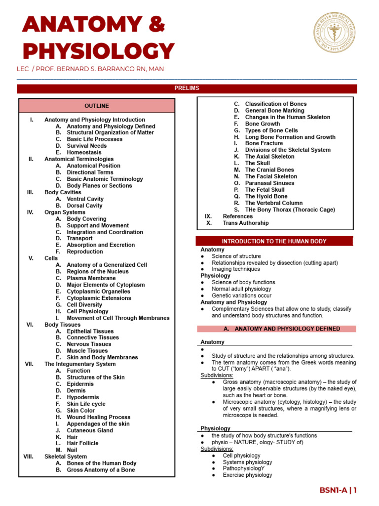 Anaphy Notes | PDF