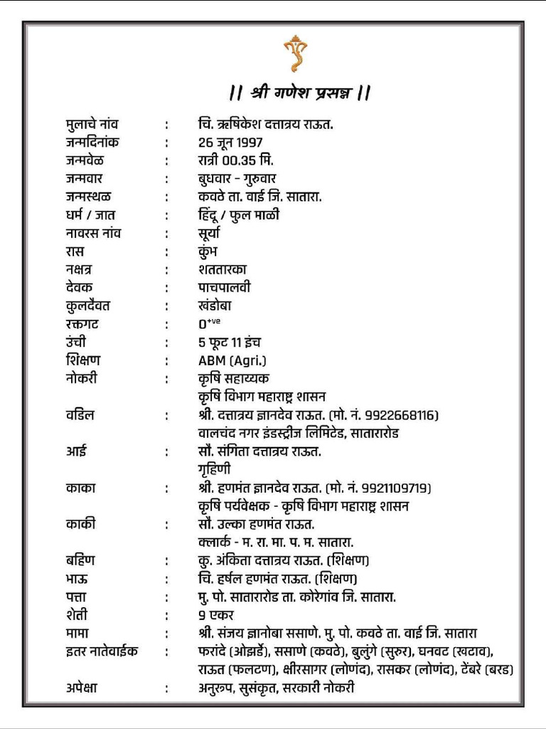 Rushi Raut Biodata | PDF