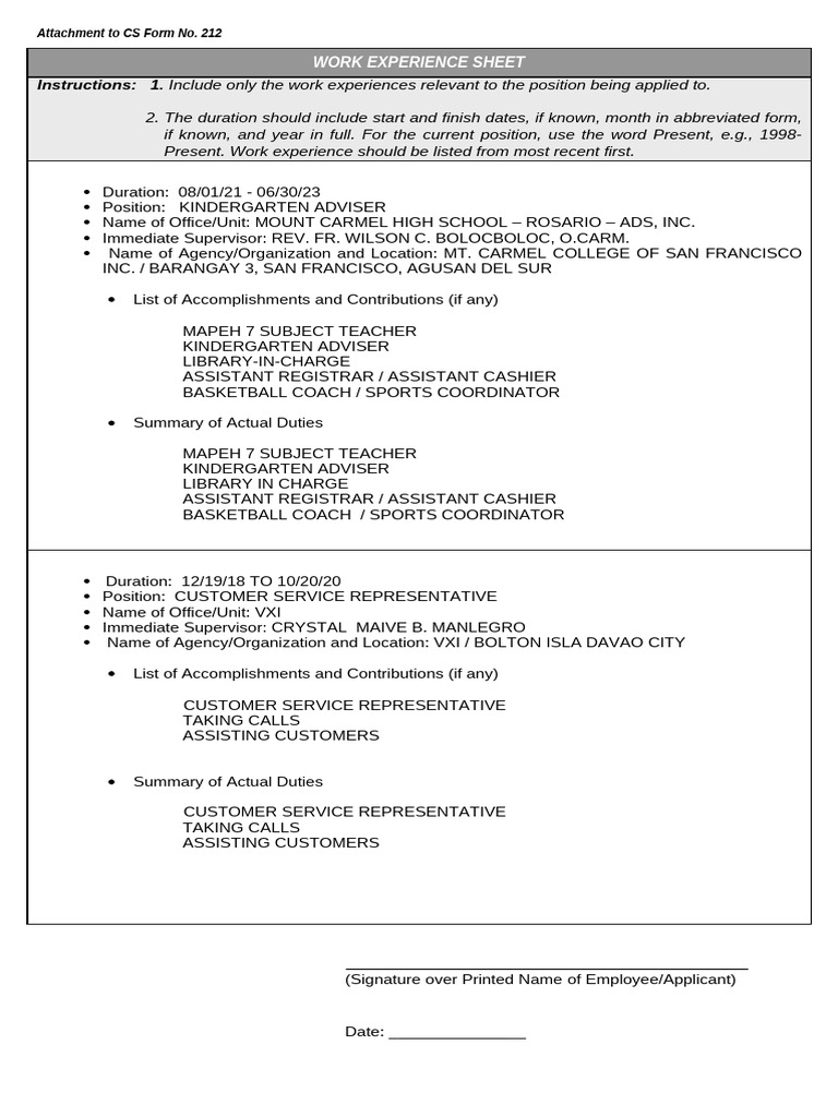 Work Experience Sheet | PDF