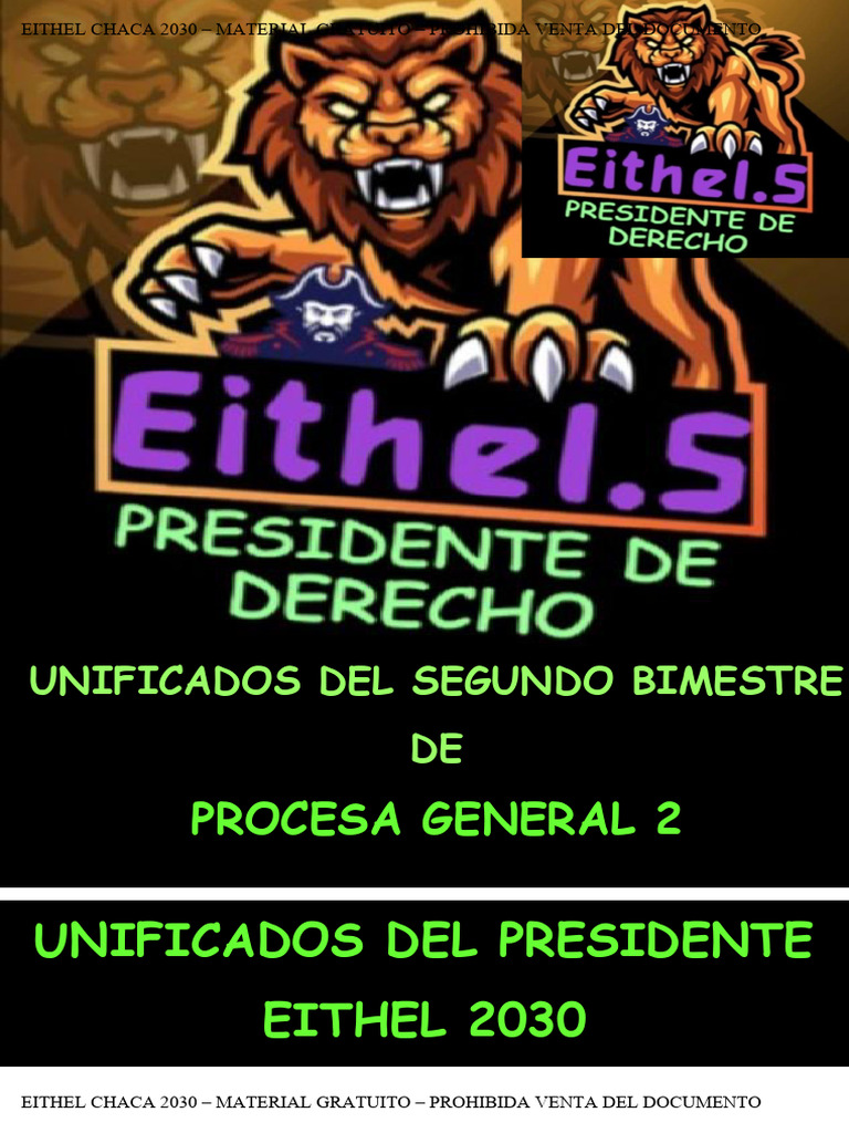 Unif. Derecho Procesal General 2 2B - Eithel 2024 | PDF