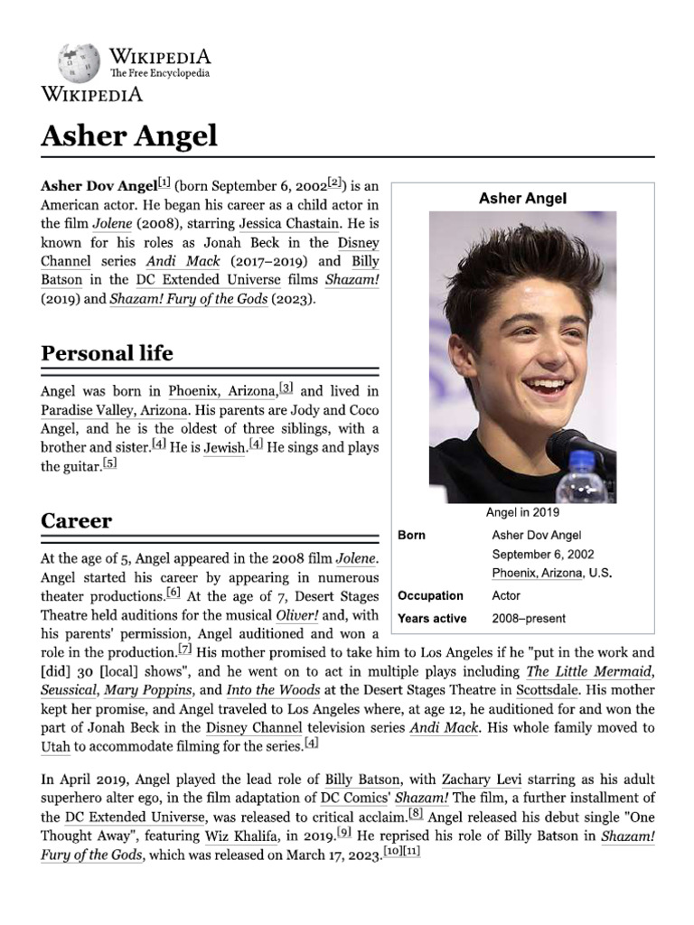 Ash | PDF