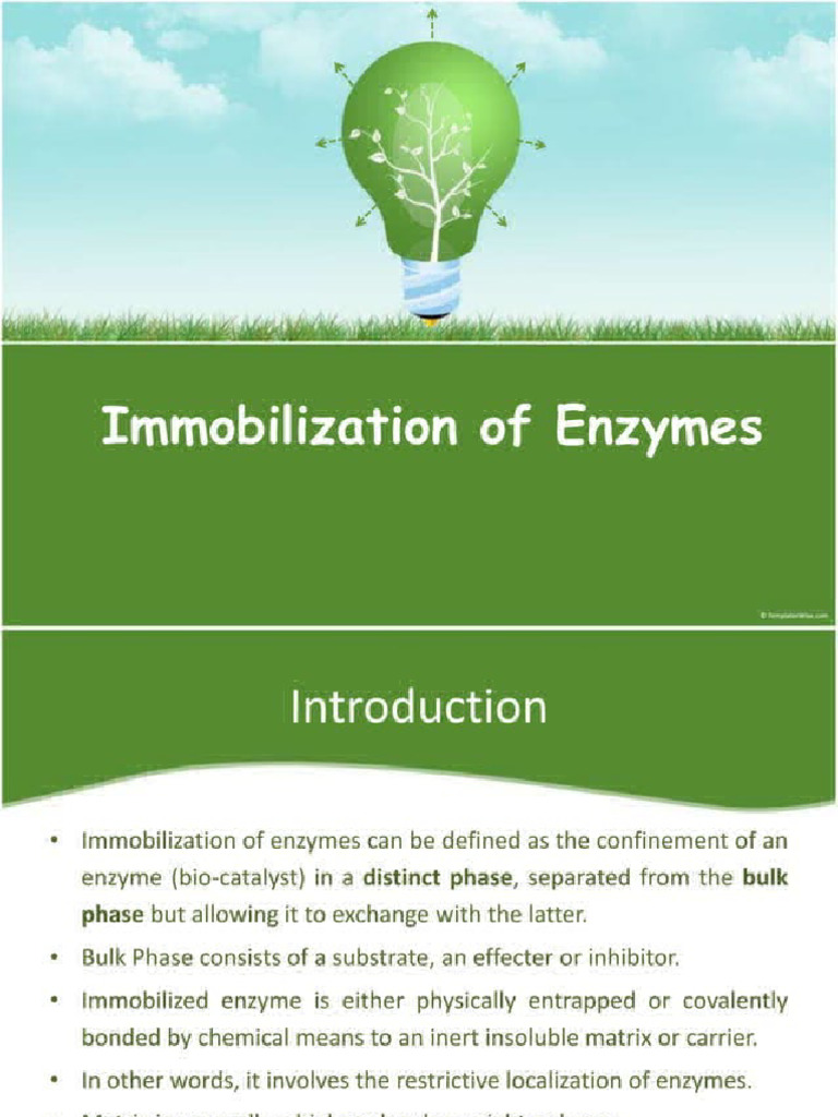 Immobilization of Enzymes | PDF