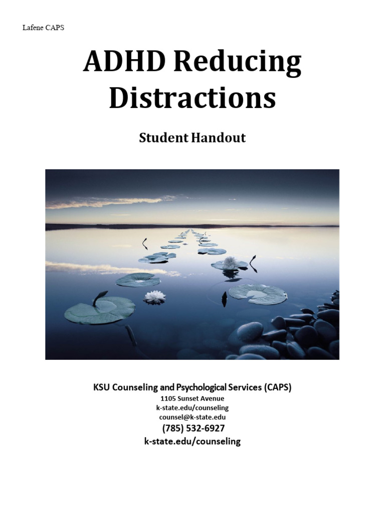 Reducing Distractions Handout | PDF | Attention Deficit Hyperactivity Disorder | Self-Improvement