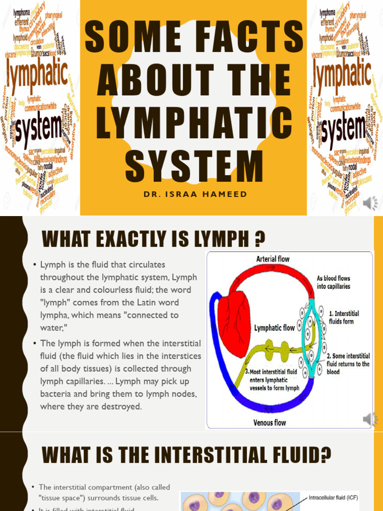 Some Facts About The Lymphatic System | PDF