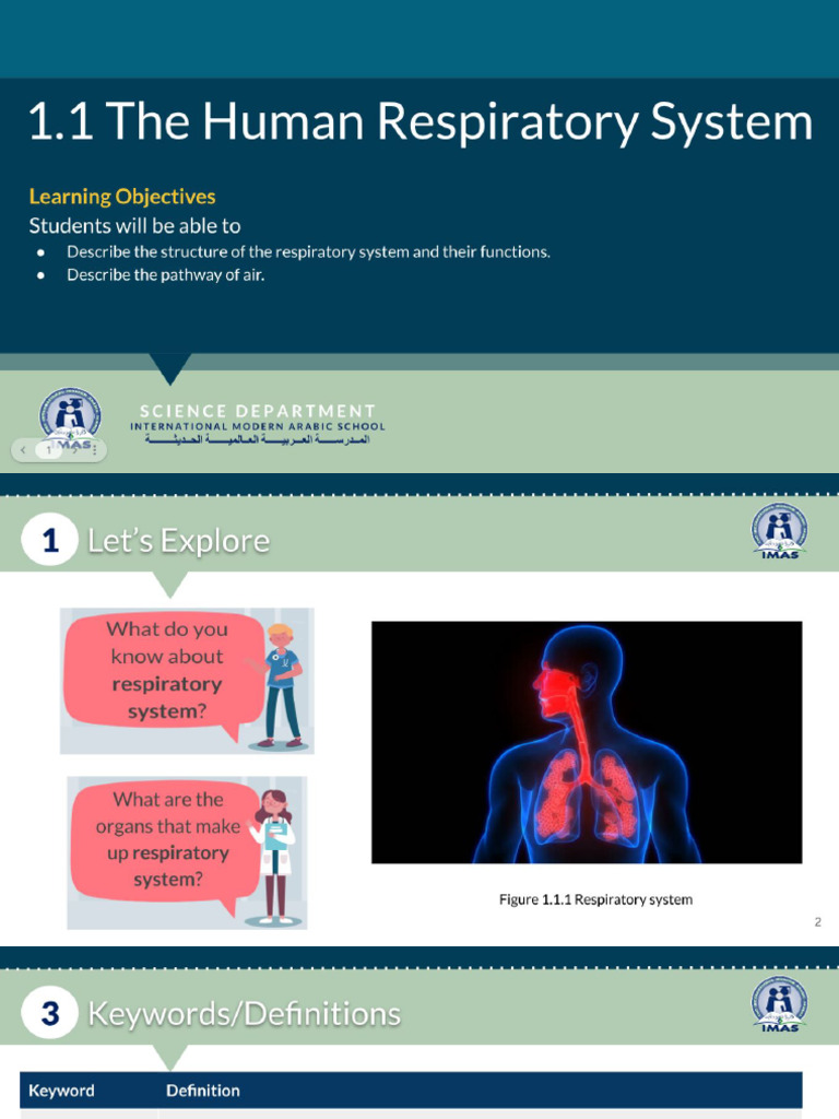 1.1 The Human Respiratory System | PDF