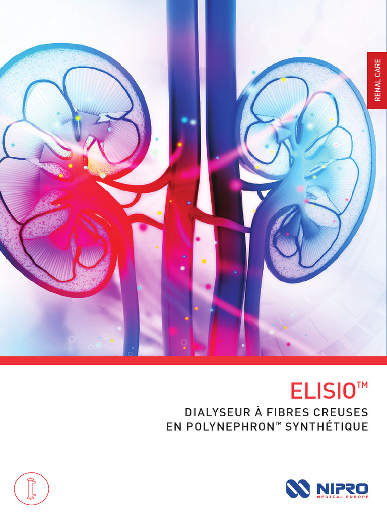 Elisio F | PDF