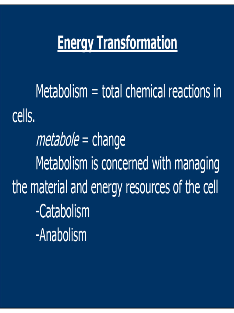 XII Energy Transformation | PDF