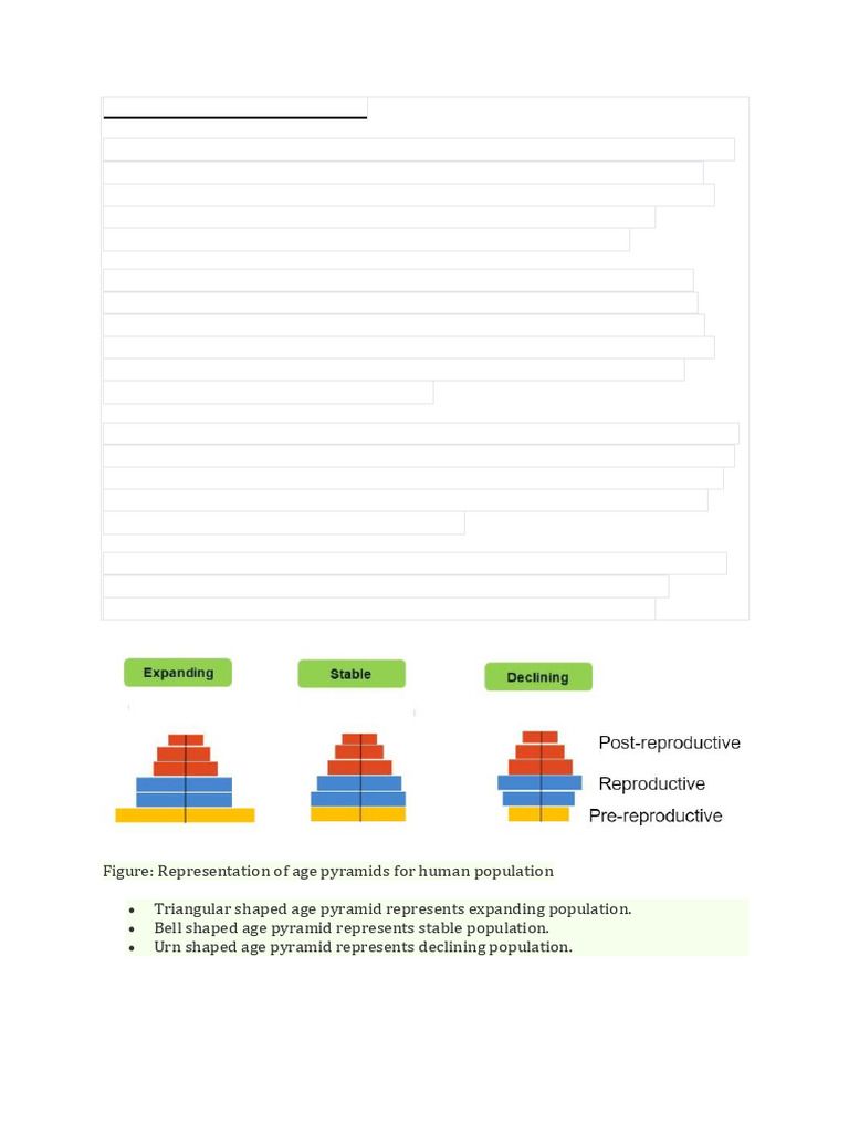 Population Pyramid | PDF