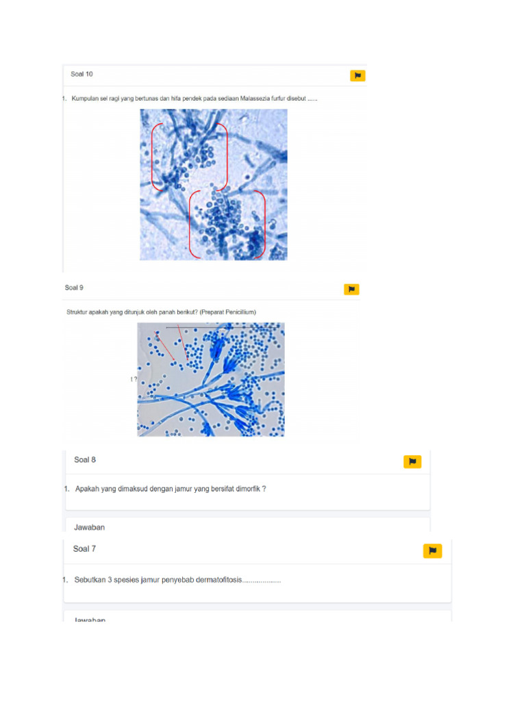 Responsi Dr. Avin Scrapping - Integument | PDF