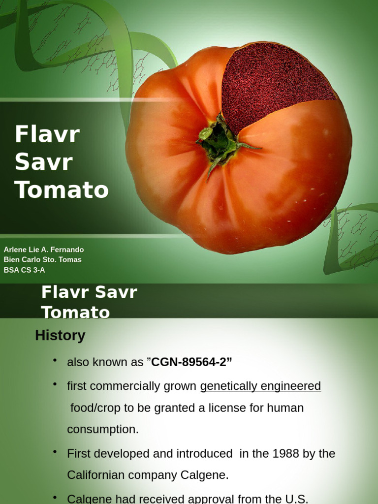 Flavr Savr Tom | PDF