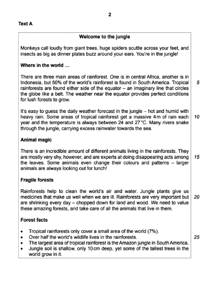 English Y7 Assignment | PDF
