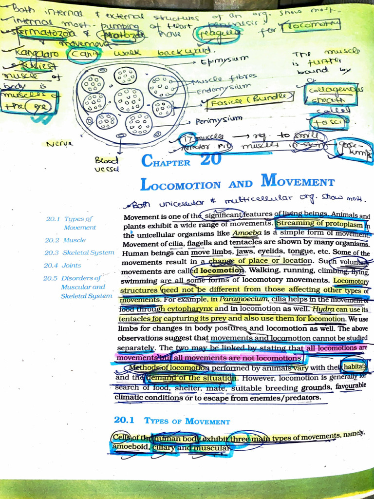 Locomotion | PDF Locomotion | PDF