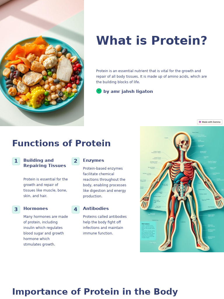 What Is Protein | PDF