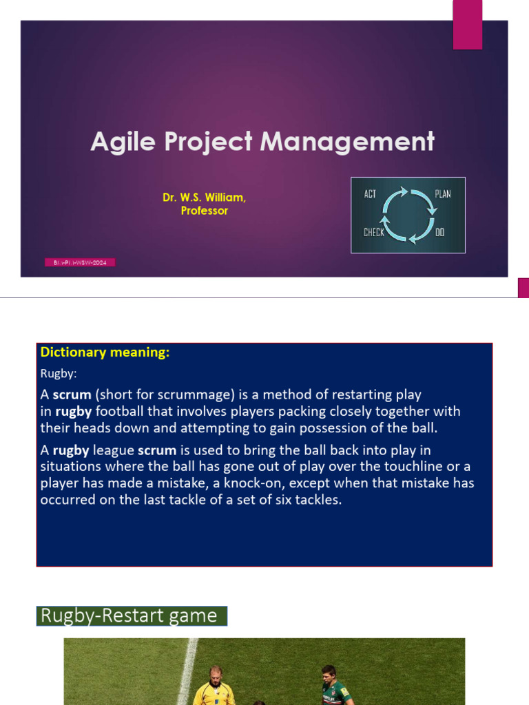 Agile Project Management: Dr. W.S. William, Professor | PDF
