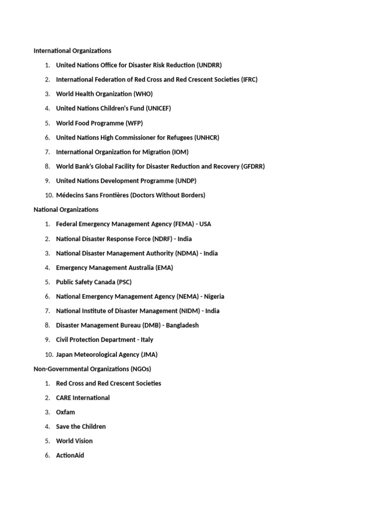 International Organizations | PDF