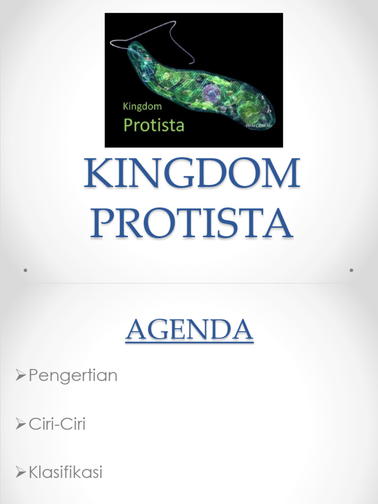 Kingdom Protista | PDF