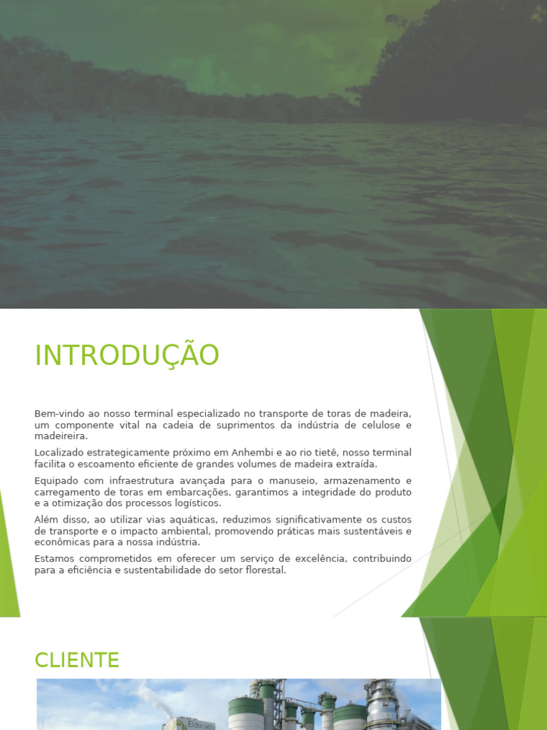 Tozi Oficial | PDF