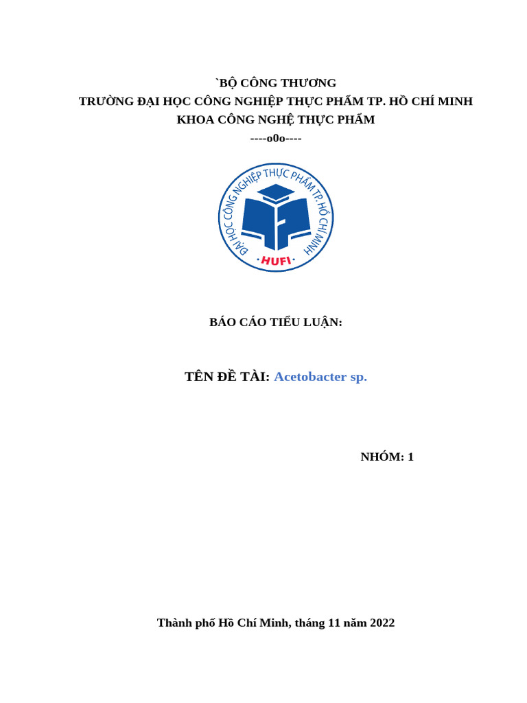 Bao Cao Nhom Template | PDF